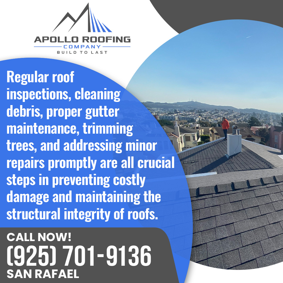 Extend the Lifespan of Your Roof with Professional Roofing Services ...