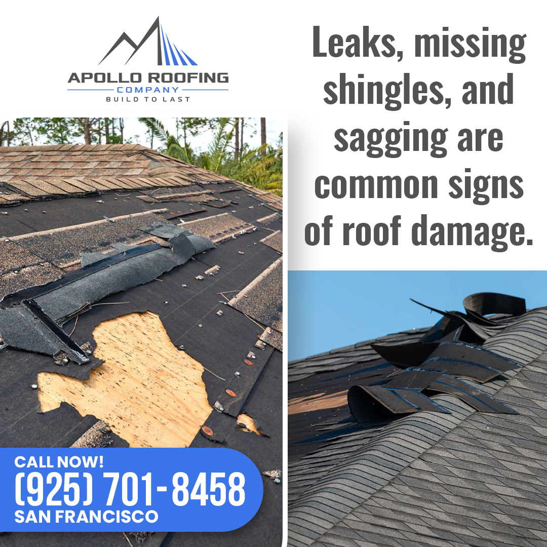 A Guide To The Roof Repair Process - Apollo Roofing Company