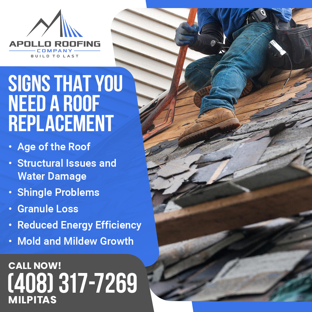 Signs That You Need A Roof Replacement - Apollo Roofing Company