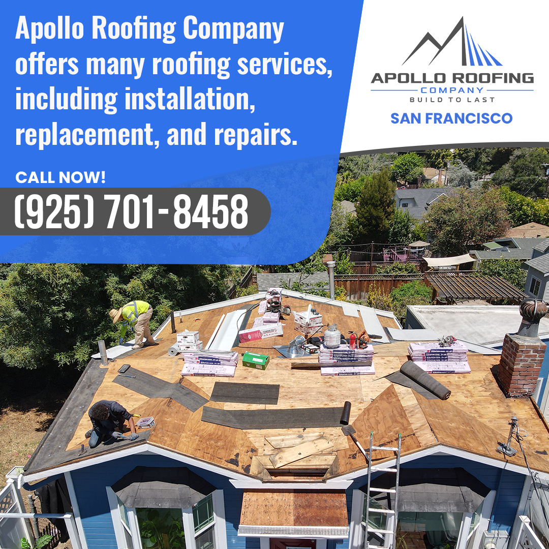 The Role Of A Roofing Company - Apollo Roofing Company
